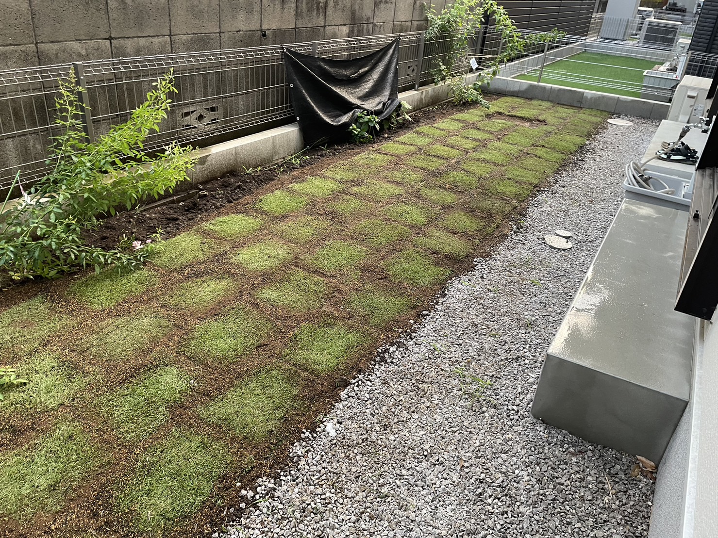 芝張り（TM9）土壌改良、整地、TM9張り、目土入れ、水やり/東京都東松山市 | お庭の専門店ニワナショナル（東京・埼玉・神奈川）